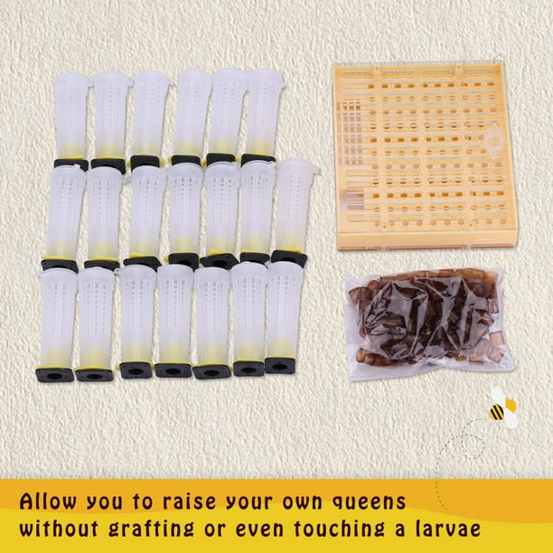 Queen Rearing Cup,Queen Rearing Cup Kit Queen Rearing Cage Queen ...
