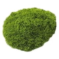 Clearance Under $1 Artificial Moss Artificial Moss For Fairy Garden ...