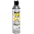 Raid Max Foaming Wasp & Hornet Killer, 13 oz - Walmart.com