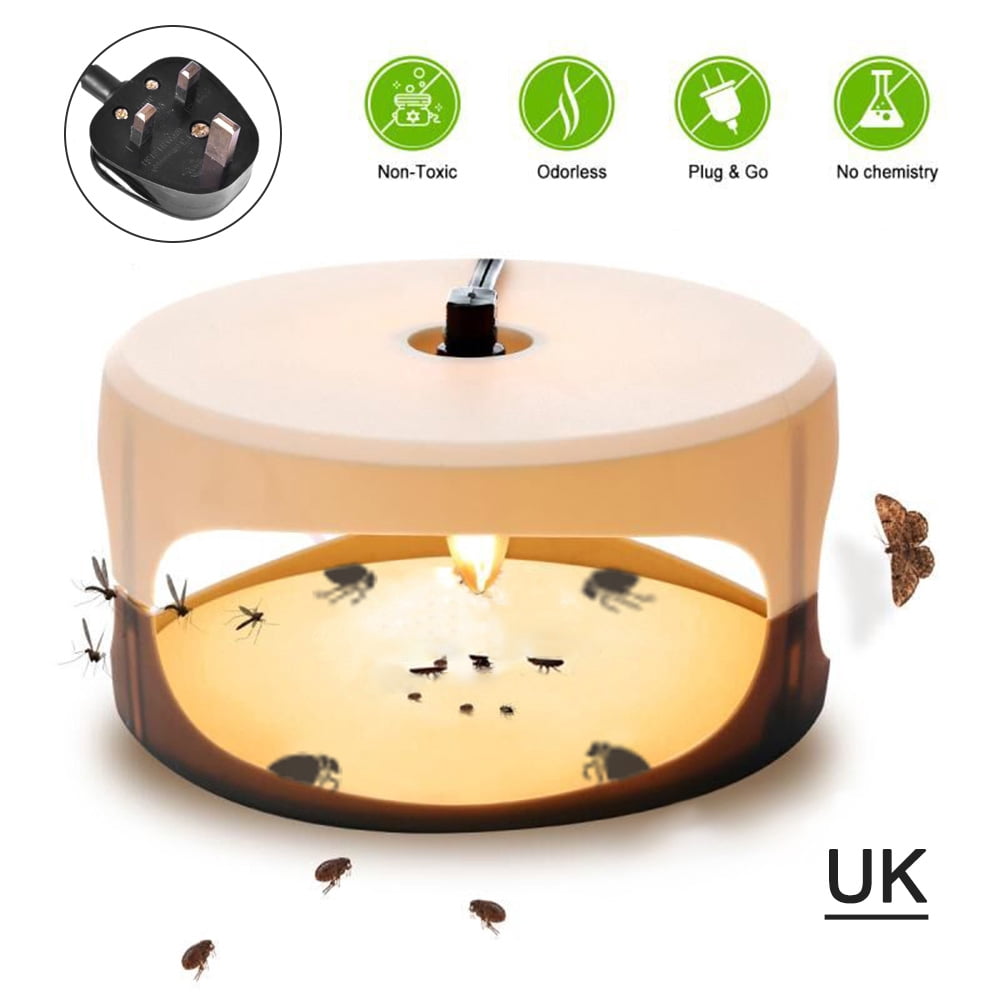 Tomshoo Sticky Flea Trap Dome Flea Bed Bug Trap with 2 Glue Discs ...
