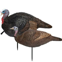 Cherokee Inflatable Turkey Decoys Sexxy Legs Turkey Decoy : Buy Online
