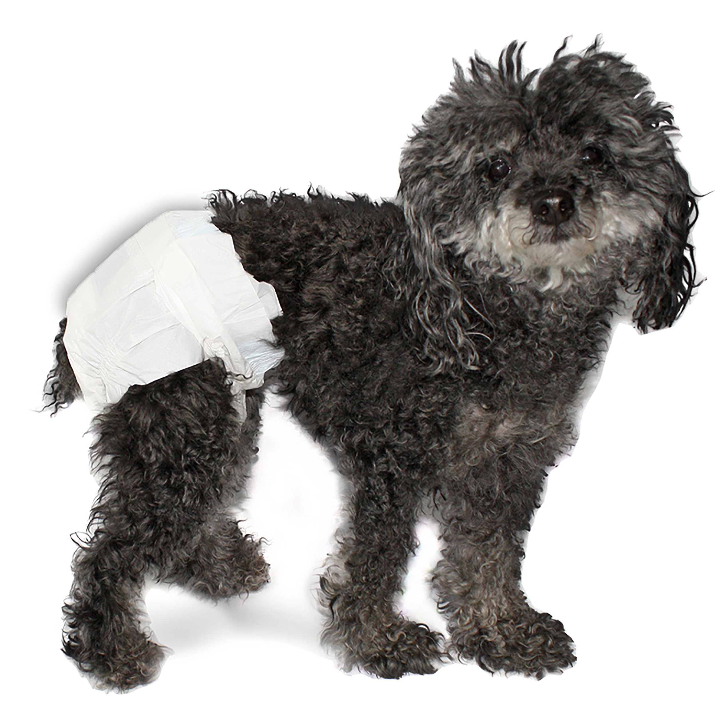 Disposable Doggie Diapers Super Absorbent With Leak proof Barriers Disposable Doggie Diapers Super Absorbent With Leak proof Barriers