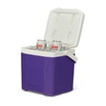 Igloo 12 qt. Laguna Hard Sided Ice Chest Cooler - Purple - Walmart.com