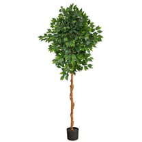 Free Shipping! Nearly Natural 6' Ficus Artificial Tree, Tall & Elegant ...