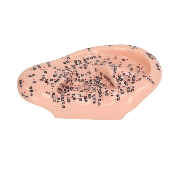 Silicone Ear Acupuncture Model,6.7in Ear Acupuncture Model Ear Massage ...