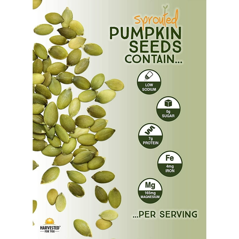 Pumpkin Seed Sprout