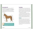 Horse Life: The Ultimate Guide to Caring for and Riding Horses for Kids ...