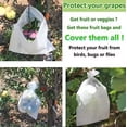 50pcs Drawstring Fruit Protection Bags, Non-Woven Bird & Pest Barrier ...