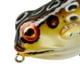 Rebel Frog-R Topwater Cricket Frog 2 3/8" 5/16 oz. - Walmart.com