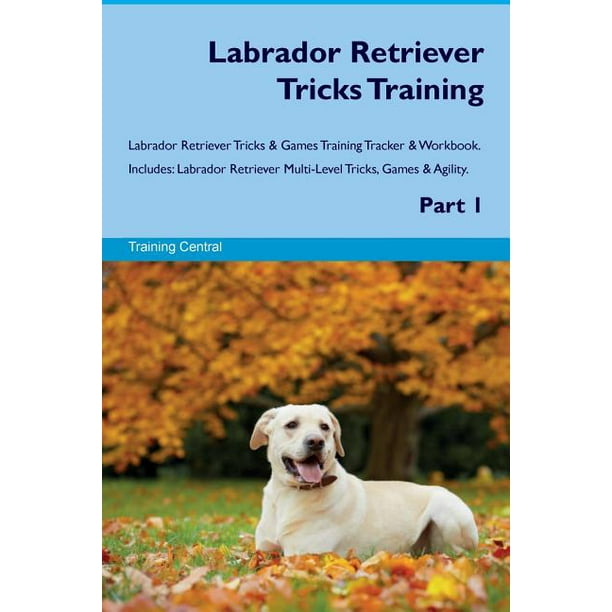 How To Teach A Labrador Tricks