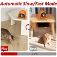 2 in 1 Motion Activated and Automatic Cat Laser Toys, Interactive Cat ...