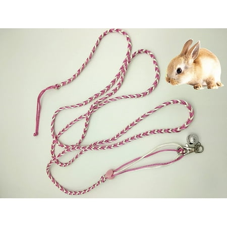 Rat Mouse Leash Lead Harness Bell Rope Training For Hamster Bunny ...