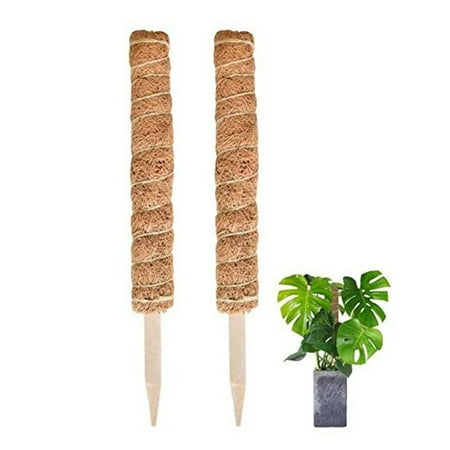 Coconut Palm Sticks Plant Pole Extendable Nut Palm Sticks 60CM ...