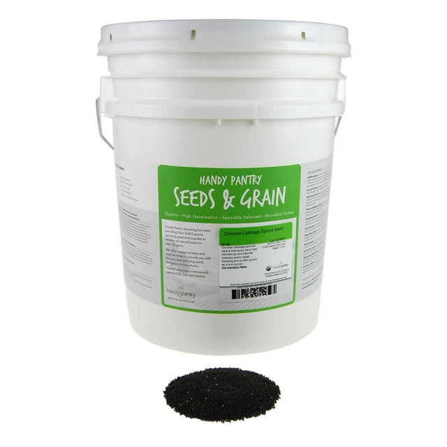 Chinese Cabbage Sprouting Seed - 30 Lbs Bulk Bucket - Perfect for ...