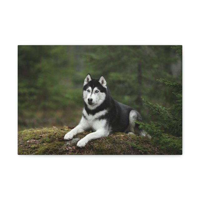Majestic Siberian Husky Art Majestic Siberian Husky Print Animal Wall ...