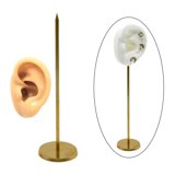 Earring Display Rack Human Ear Model Stud Holder Party Stable Tabletop ...