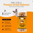 Chef Kitty Freeze Dried Cat and Dog Treats Wild Caught Salmon - 1.75oz ...