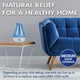 HealthWise Cool Mist Ultrasonic Humidifier | For Medium Size Rooms | No ...