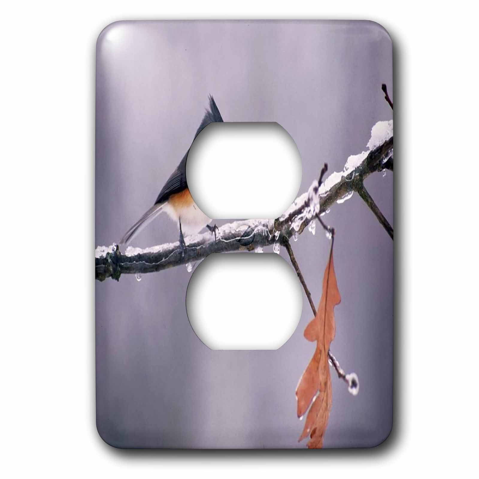 3dRose Tuffted Titmouse Bird From Michigan, 2 Plug Outlet Cover ...
