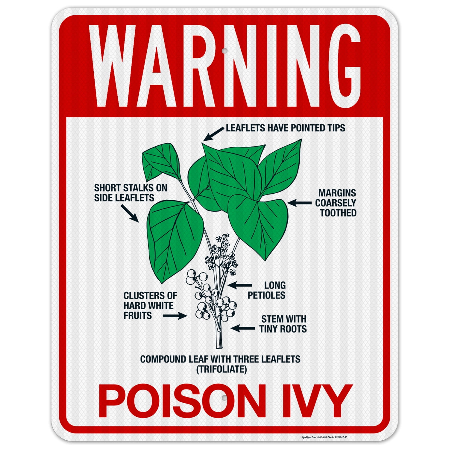 Warning Poison Ivy Sign, - Walmart.com