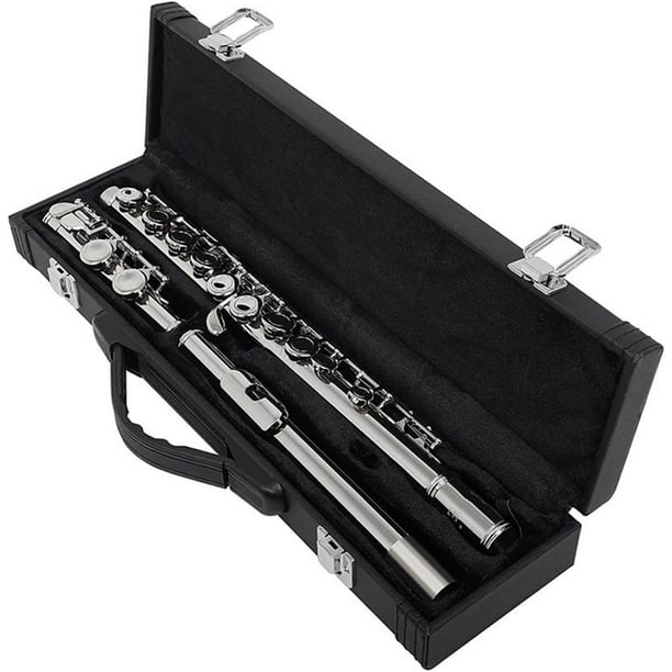 Descant Soprano Recorder 8 Hole with Cleaning Rod,Basic Musical ...
