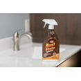 Whink 349944 Rust Stain Remover, 24 Oz, 24 Fl Oz - Walmart.com
