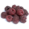 Royalty Purple Raspberry Plants to Grow - Easy to Grow Rooted Plants ...
