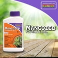 Bonide (BND861) - Fungal Disease Control, Mancozeb Flowable with Zinc ...