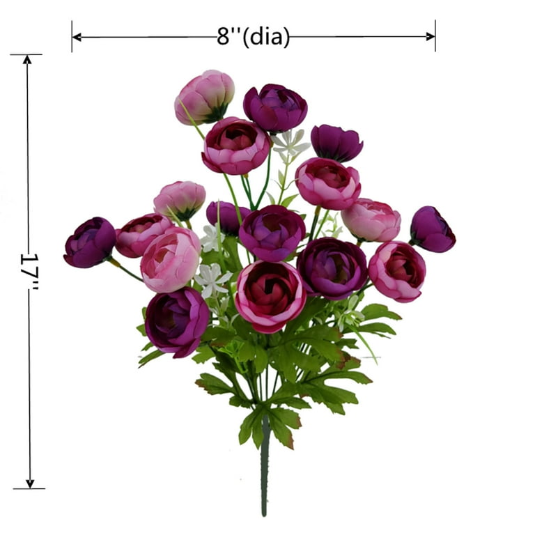 Purple Ranunculus Flowers