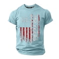 250 Anniversary USA Shirts for Men Graphic Print Short Sleeve T Shirt ...