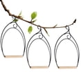 Set of 3 Hummingbird Swings, Rust Resistant Metal Frame, Wooden Dowel ...