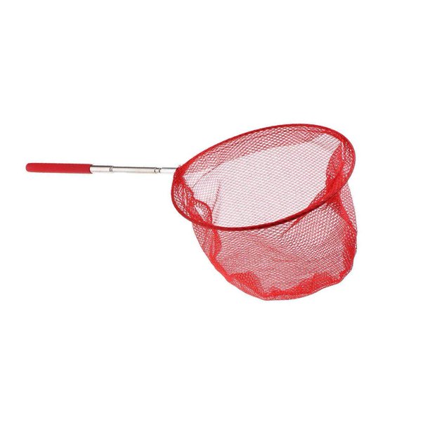 Extendable Insect Catching Butterfly Net Fishing Nets for Insect Net ...
