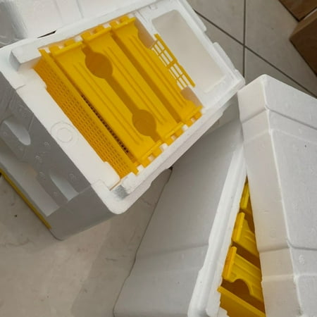 Home Hive Box Beehive Pollination Beekeeping Garden Beehive Pollination ...