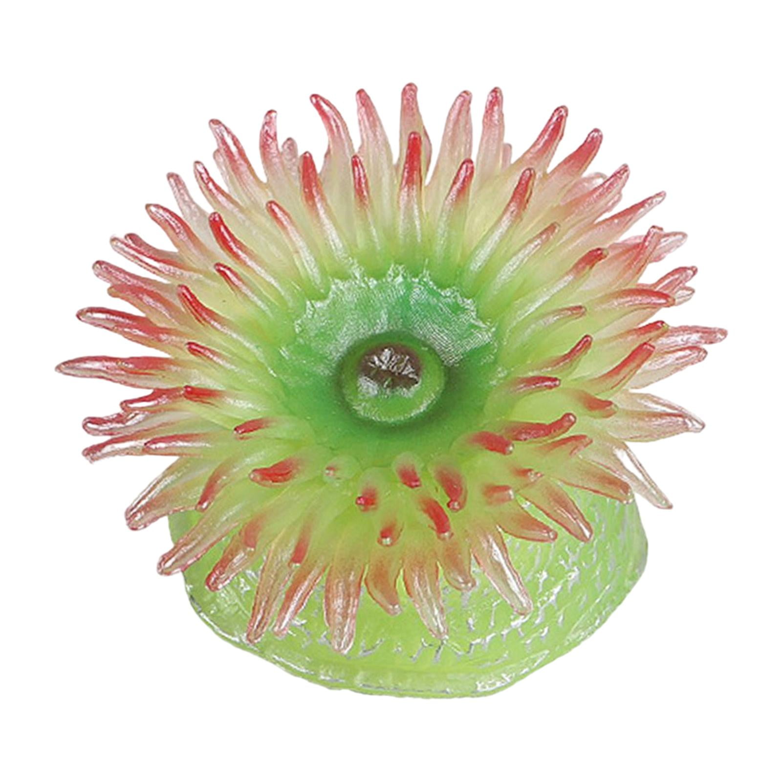 Sea Creatures Sea Anemone Learning Toys Aquarium Landscape Lifelike ...