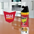 Raid Defend Ant and Roach Killer, Insect Killer Spray, Fragrance-Free ...