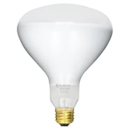 Sylvania 16068 - 300PS35/CL/277V PS35 Light Bulb - Walmart.com