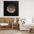 Stupell Industries Wispy Dandelion on Black Canvas Wall Art, design by ...
