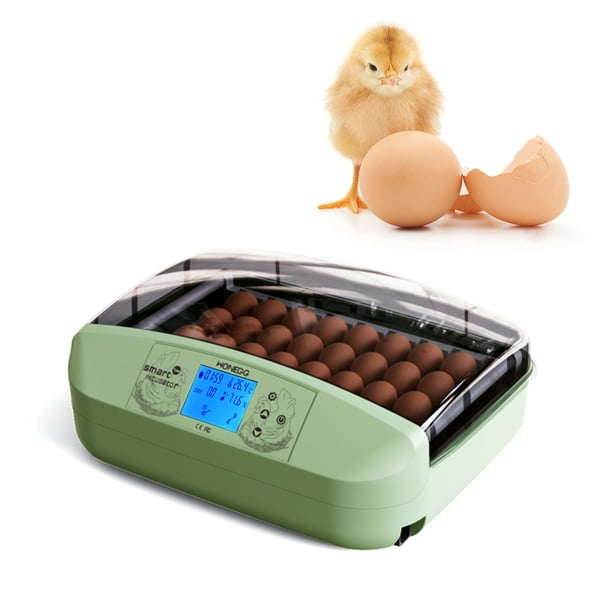 Egg Incubator 32 Eggs Poultry Digital Hatcher with Auto Egg Turning ...