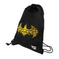 Arena Super Hero Fast Swimming Bag, Batman - Walmart.com