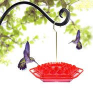 2-Pack Nectar DOTs Hummingbird Feeder Kit- Yellow/Red and Blue/Red ...