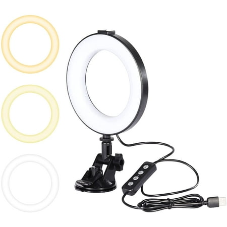 Video Conference Lighting Kit,6.3" Ring Light for Laptop，Zoom Call,Self ...