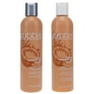 Abba Detox Shampoo 8oz Recovery Treatment Conditioner 8 oz Duo Set ...