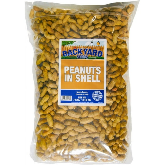 Bulk Peanuts Shell