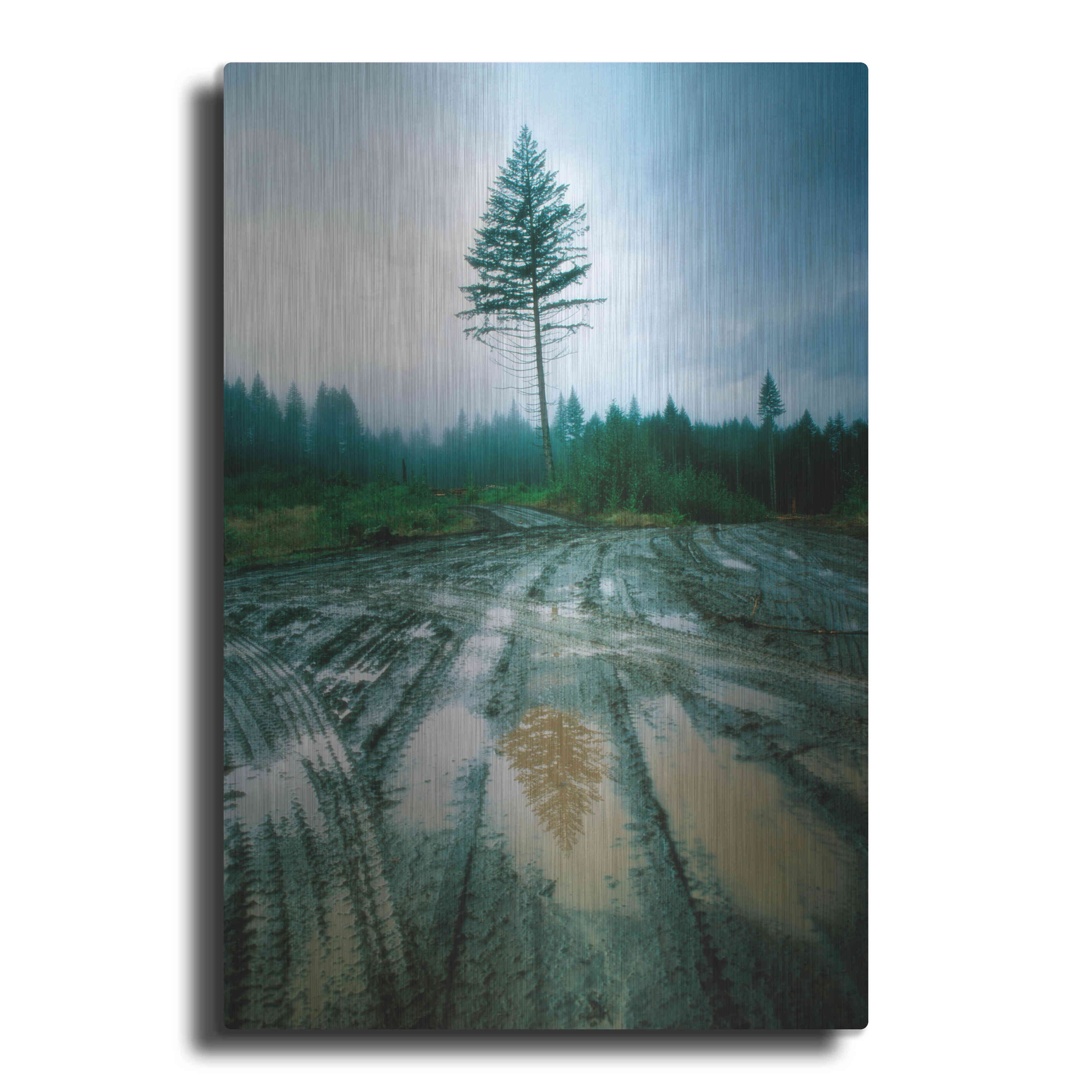 Luxe Metal Art 'Lonefir' by Thomas Haney, Metal Wall Art, 24"x36 ...