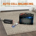 LiTime 12V 100Ah LiFePO4 Lithium Deep Cycle Battery 100A BMS 1280Wh ...