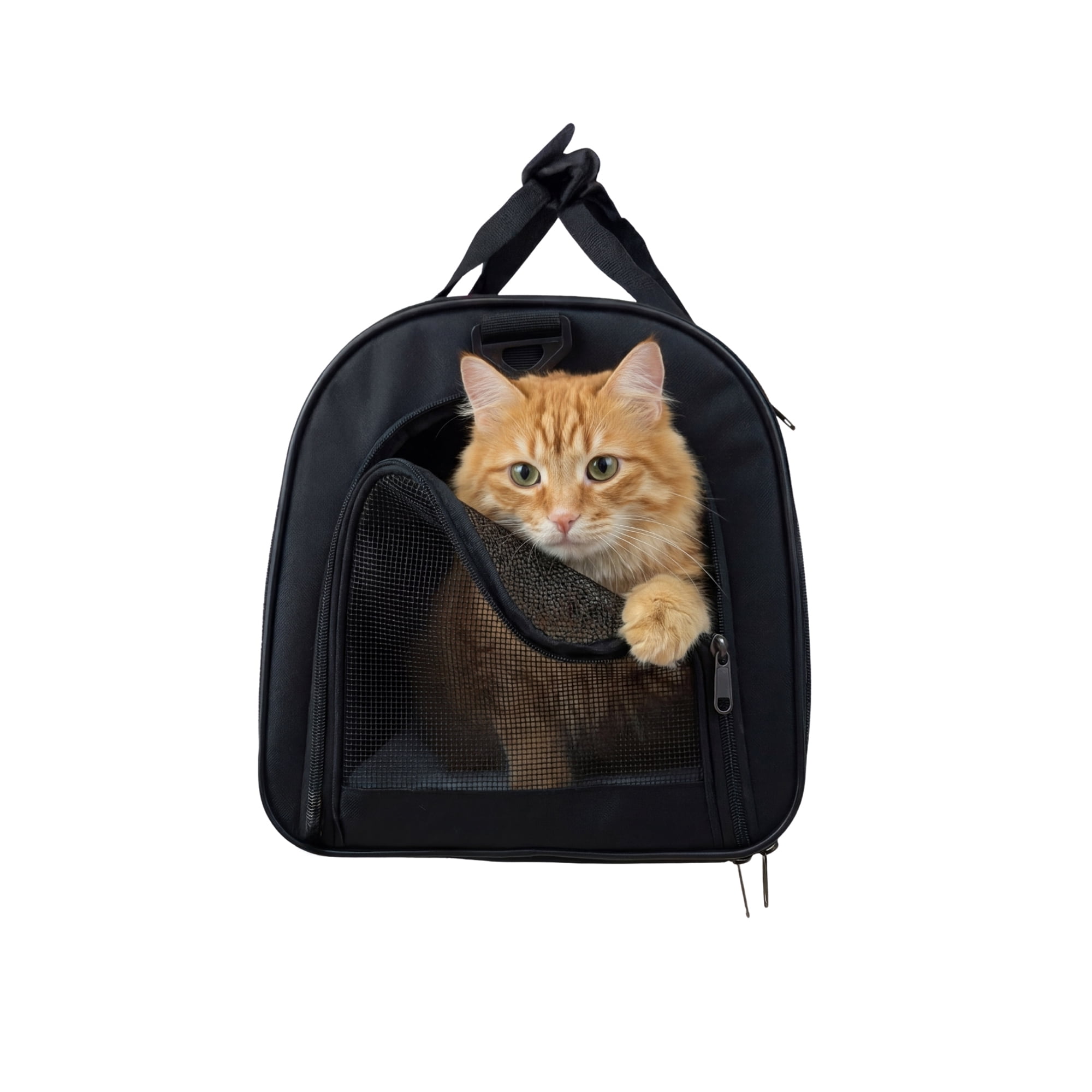 One Paw, Soft Carrier Bag, Small Pet Carrier, Lightweight, for Cats and ...