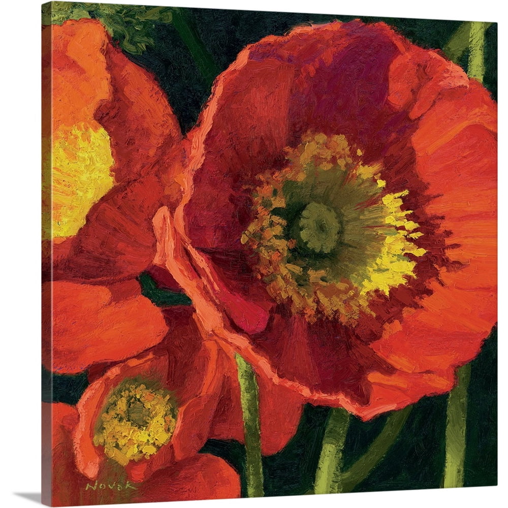 Great BIG Canvas Red Poppy Trio I Canvas Wall Art Walmart great-big-canvas-red-poppy-trio-i-canvas-wall-art-walmart