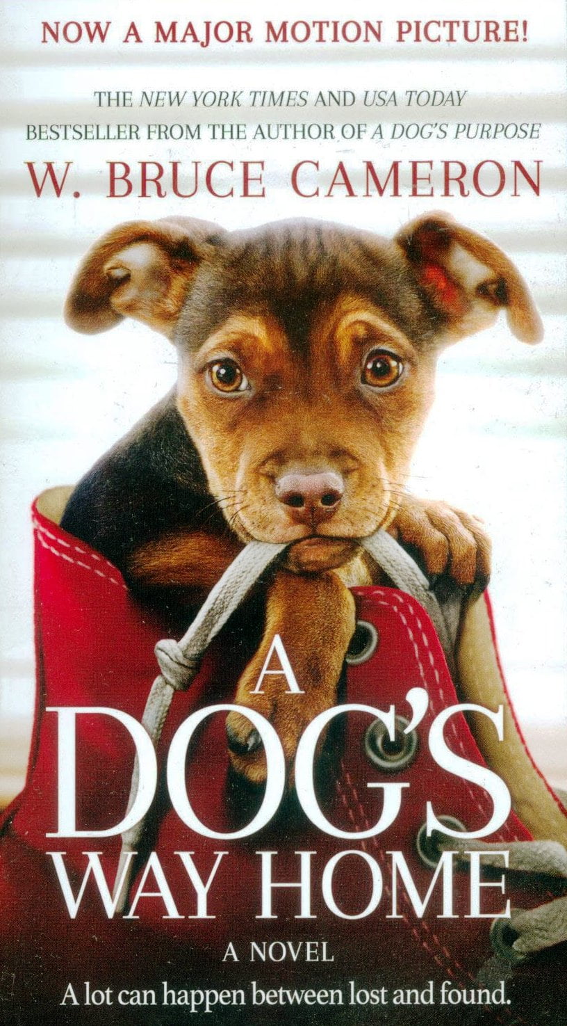 A DOG S WAY HOME MOVIE TIE-IN MACMILLAN USA W. BRUCE CAMERON | Walmart ...