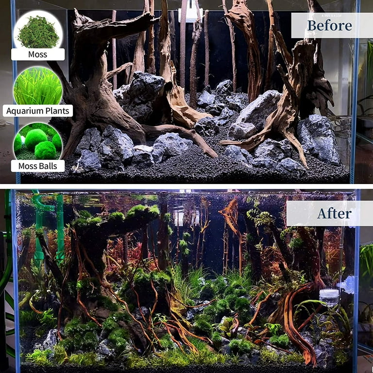 Freshwater Aquarium Driftwood