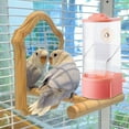 Squirrel Feeder Feeding Device Scattering And Rice Husk Separation Food Box Automatic Feeder ...